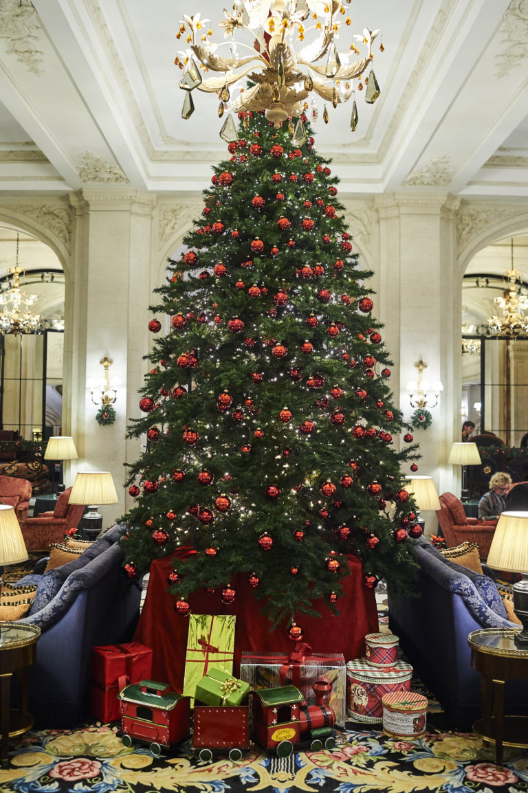 XMAS Offer | Le Plaza